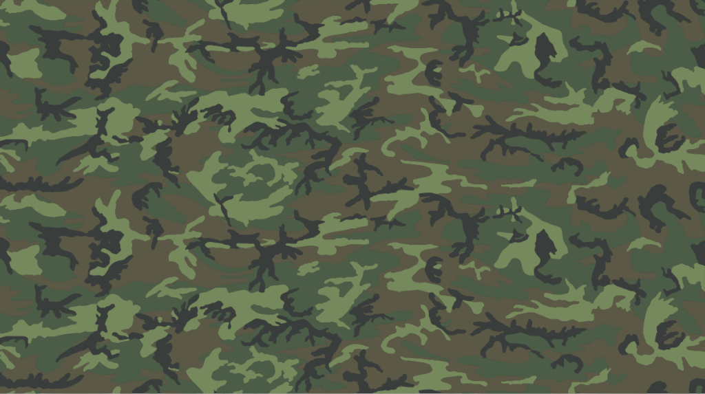 17 Types Of Military Camouflage & Their Uses | MTP to CADPAT