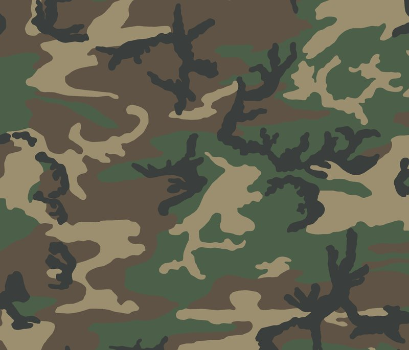 17 Types Of Military Camouflage & Their Uses | MTP to CADPAT
