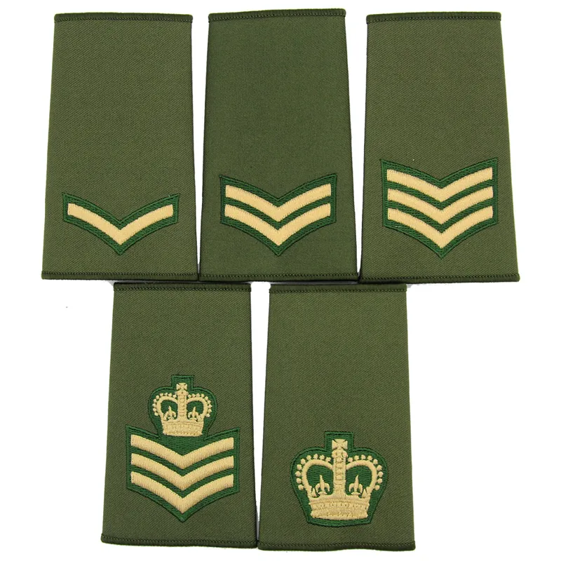 Intelligence Corp Rank Slides