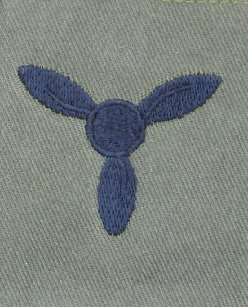 RAF Olive Rank Slides: SAC