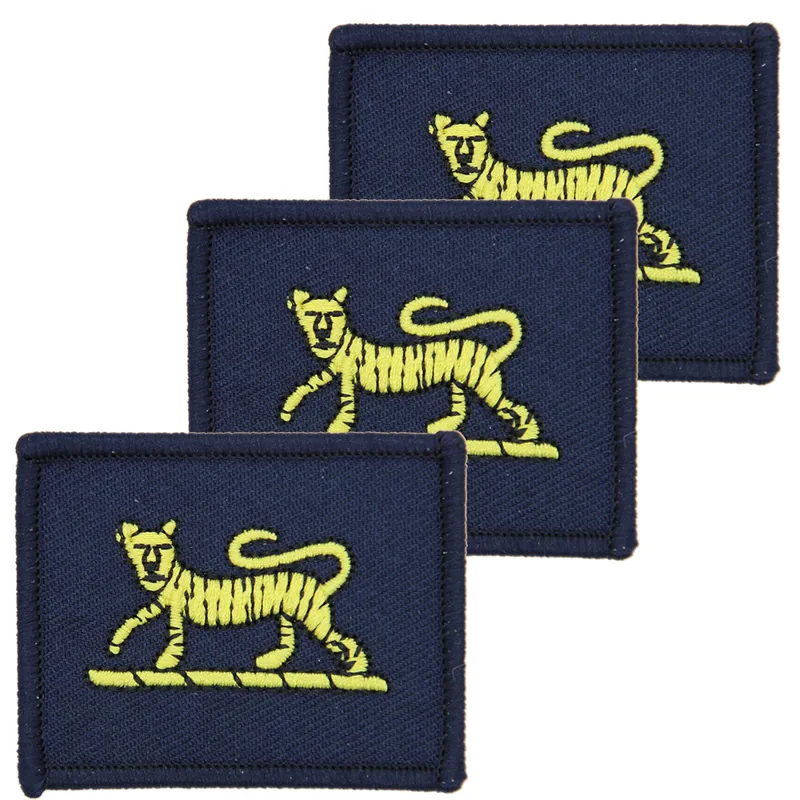 PWRR Blue and Yellow Tiger TRF x3 Pack